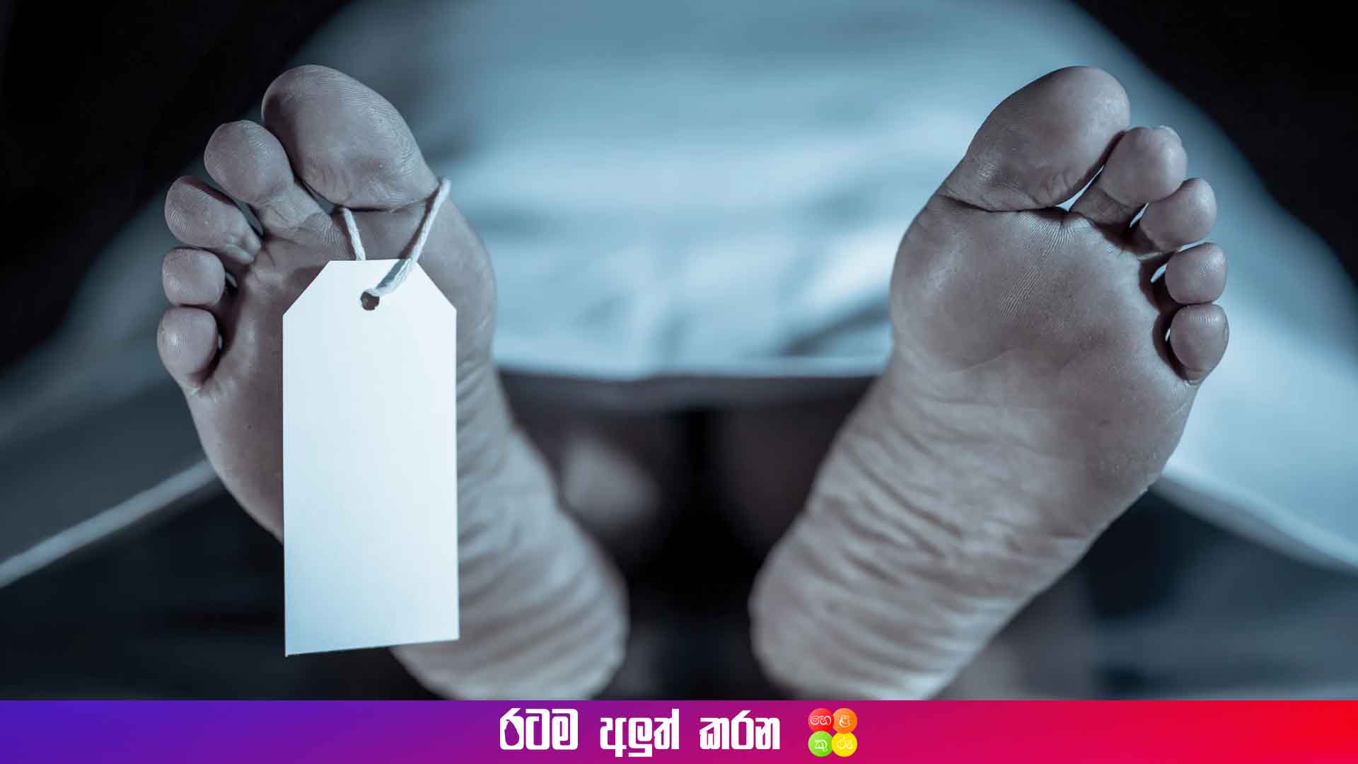 ට්‍රැක්ටරයක් පෙරළී අතුරුදන් වූ පිරිසෙන් එක් සිසුවෙකුගේ සිරුර සොයා ගැනේ